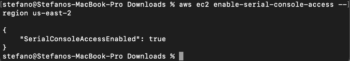 EC2のシリアルコンソールが有効かどうかを確認する方法 – Sysdig
